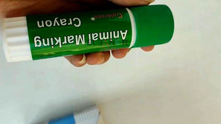 Crayon Spidol untuk Tanda Tubuh Babi Sapi Domba Kambing Ternak Pig Cow ...