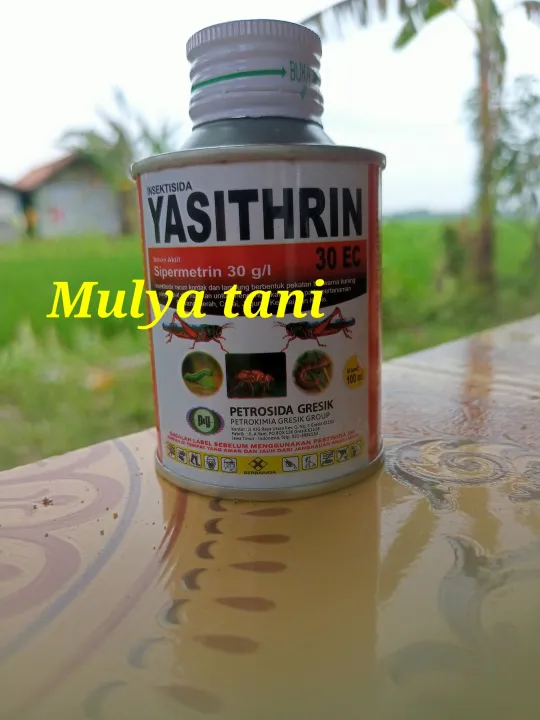YASITRIN ,100ml Obat Pertanian Insektisida Racun Hama Belalang | Lazada ...