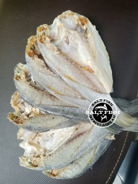 ikan asin SAMGE BELAH kering ; 250 gram | Lazada Indonesia