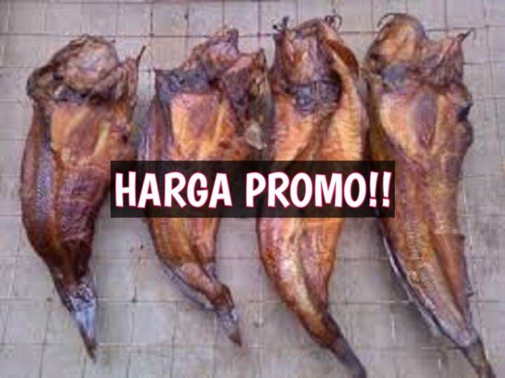 Ikan Salai Lele Sungai/Limbat | Lazada Indonesia