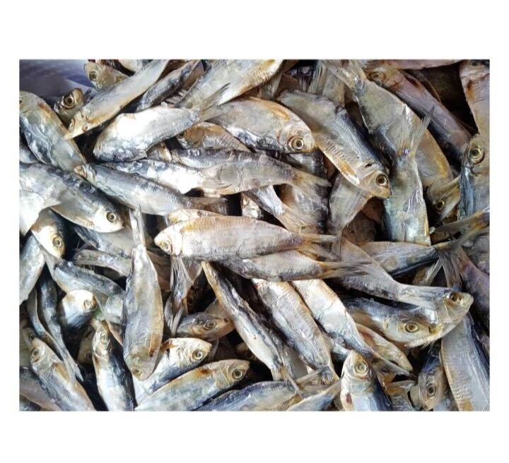 Dried Fish/Tuyo Bataan(250grams)per pack | Lazada PH