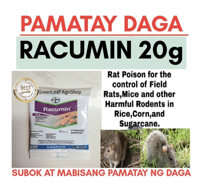 RACUMIN POWDER Rodenticide/PAMATAY DAGA SA BAHAY/PALAYAN/CROP FIELDS ...