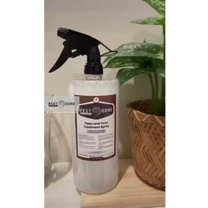 Pest Gone Ticks and Fleas Killer Spray Treatment 1 Liter Odorless ...