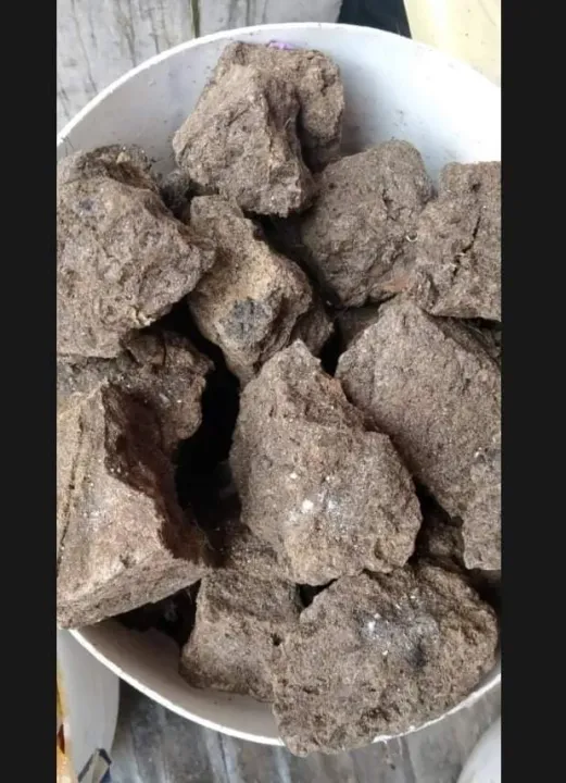 kamanyang 1kg. | Lazada PH