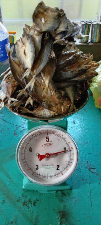 Dried fish pinakas from estancia iloilo | Lazada PH