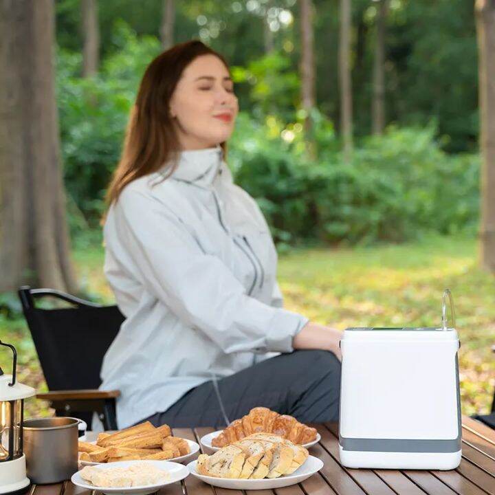 Wellect portable oxygen concentrator pulse flow mini size with ...