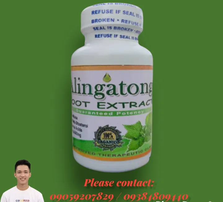 Alingatong Root Capsule | Lazada PH