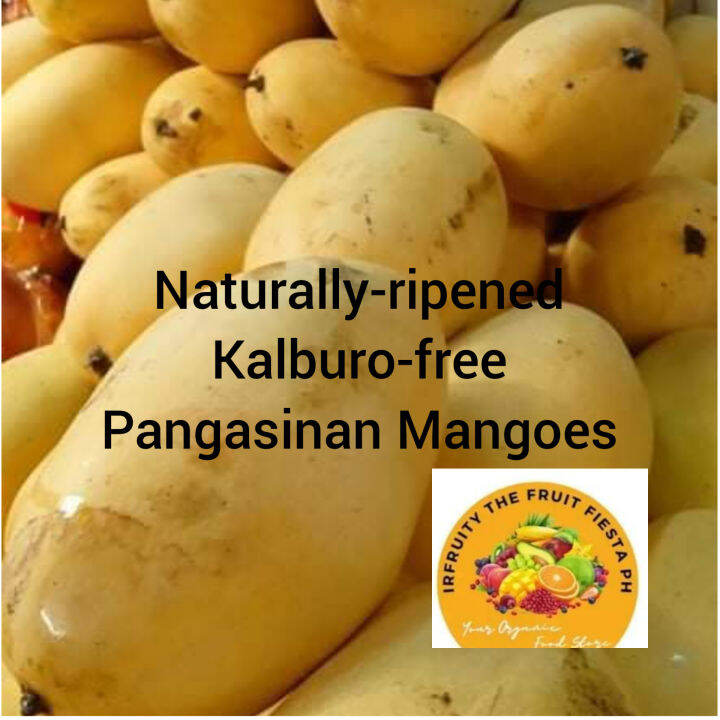SWEET BIG RIPE MANGOES 220/kilo(3 to for 4pcs.)‼️FOR EVERY ORDERS WORTH ...