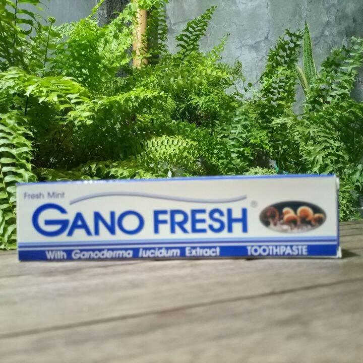 GANO FRESH TOOTHPASTE - Fresh Mint with Ganoderma lucidum extract ...