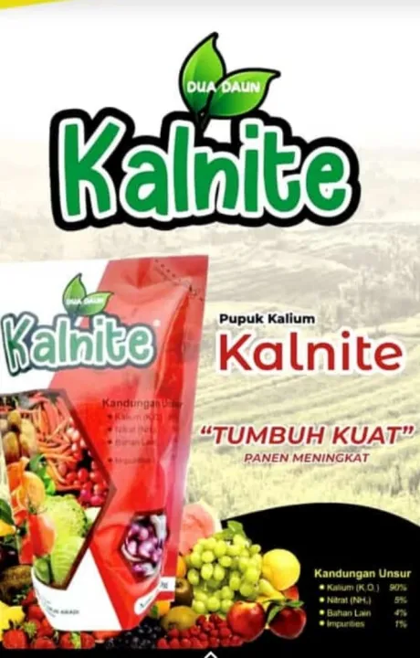 Pupuk Kalium Kalnite 0,5kg Kalium 90% | Lazada Indonesia