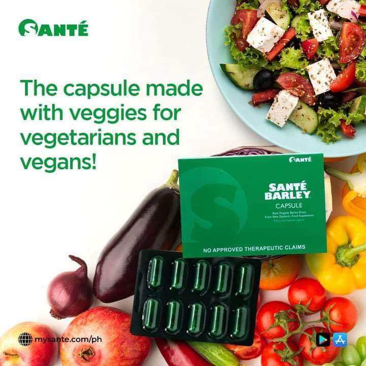 Santé Barley Capsule 500mg/ 1box 60 capsules The Green Superfood in ...