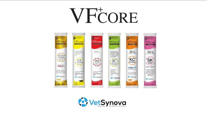 ขนมแมวเลีย VFcore ไลซีน, บำรุงเลือด แบ่งเป็นซอง | Lazada.co.th