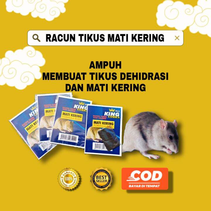 Trap tikus racun hama tikus got ampuh | Lazada Indonesia
