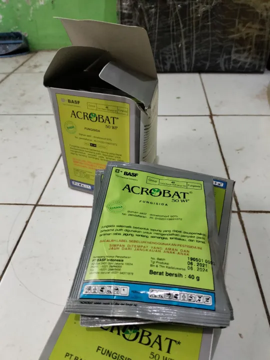 FUNGISIDA Acrobat 50wp 40gram | Lazada Indonesia