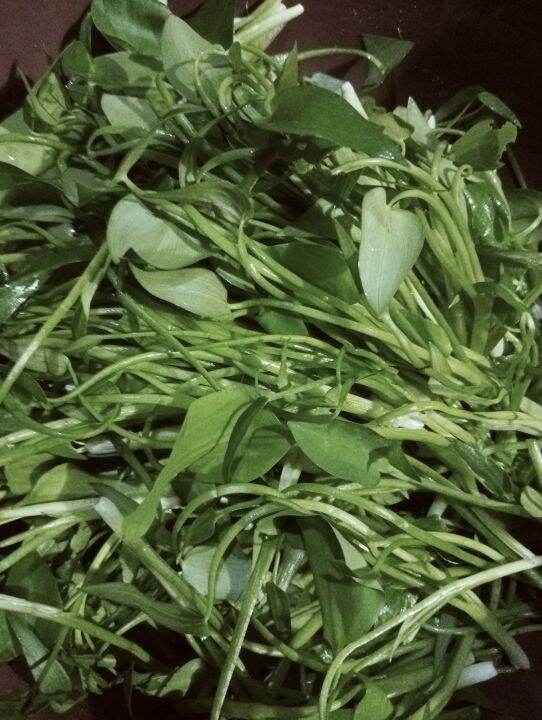 eceng sawah segar per 500gram | Lazada Indonesia