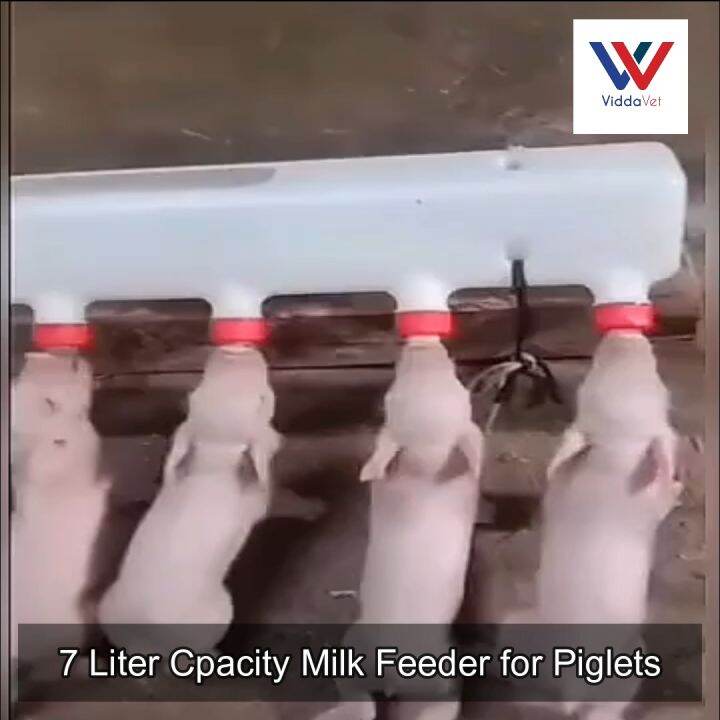 7 Litre Piglet Lamb Goat Milk Feeder 6 Silicon Nipples Lamb Feeder ...