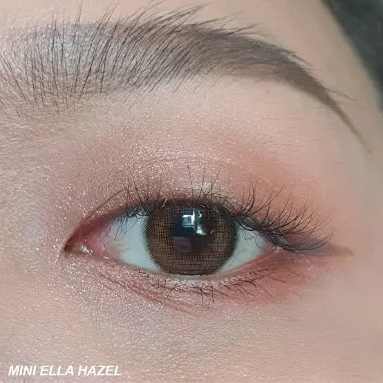 📕Mini Ella Hazel,Brown,Gray📕สายตาปกติถึง-5.00,-5.50,-6.00,-6.50(Kitty ...