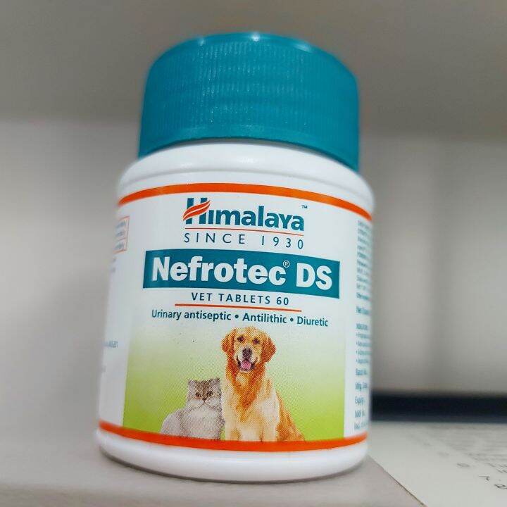 Nefrotect DS per 1 tablet | Lazada PH
