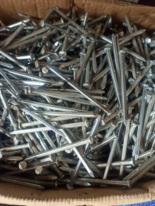 Paku putih / Paku kapal Harga per 1kg | Lazada Indonesia