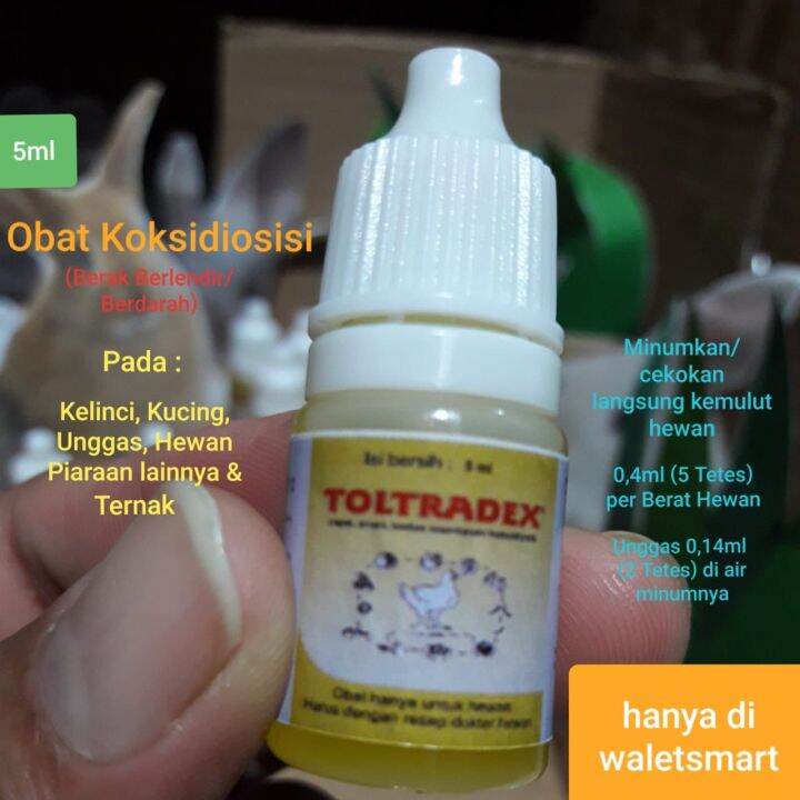 TOLTRADEX REPACK 5ml Obat Koksidiosis Pup Berlendir/Berdarah Kelinci ...