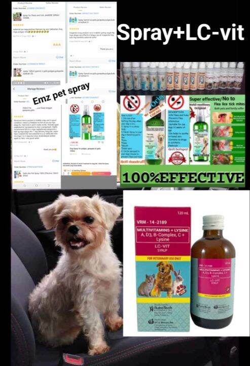 spray for galis garapata pulgas with LC-vit | Lazada PH