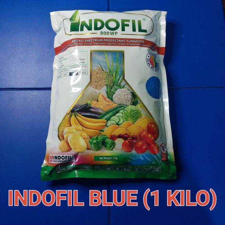 INDOFIL BLUE 800 WP (1 KILO) MANCOZEB FUNGICIDE BY INDOFIL | Lazada PH