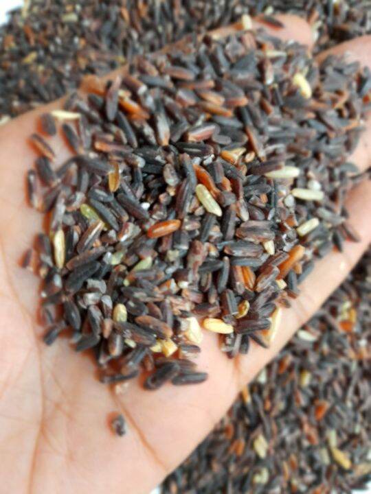 BLACK RICE ORGANIC RICE FROM ISABELA FARM 1kilo | Lazada PH