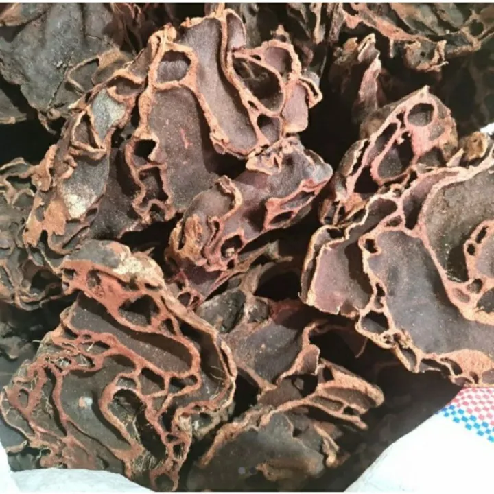 Sarang Semut Original Papua 500 gram | Lazada Indonesia