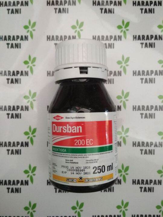 Pembunuh serangga insektisida Dursban 200EC bahan aktif klorpirifos ...