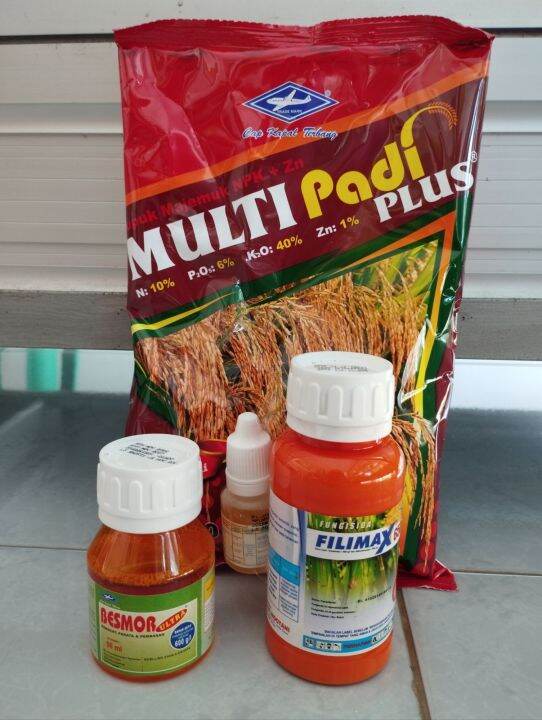 Boom Padi Max Cap kapal Terbang | Lazada Indonesia