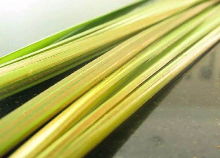 daun kelapa janur kuning 10 lembar | Lazada Indonesia