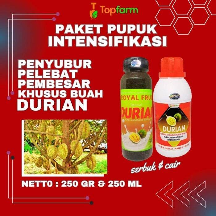 Pupuk Booster Buat Durian / Pupuk Booster Durian / Pupuk Booster Durian ...