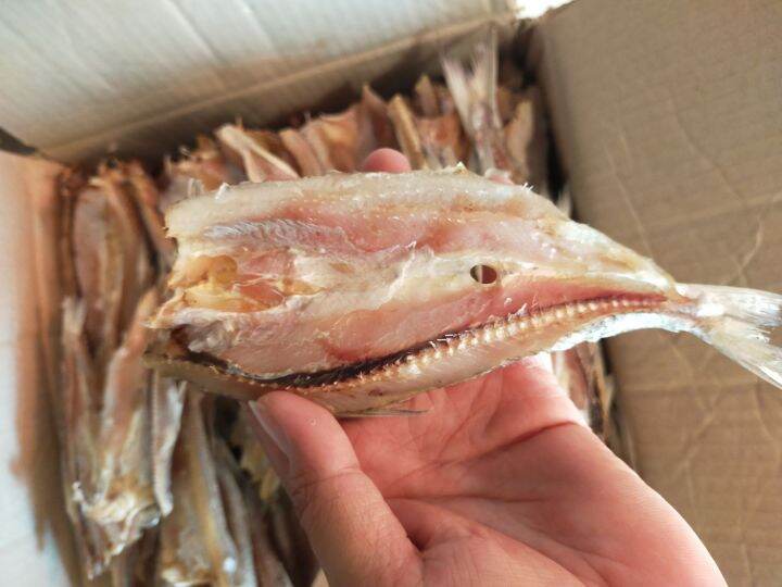 Ikan Boso Asin Ukuran Sedang Kemasan 100 Gram | Lazada Indonesia