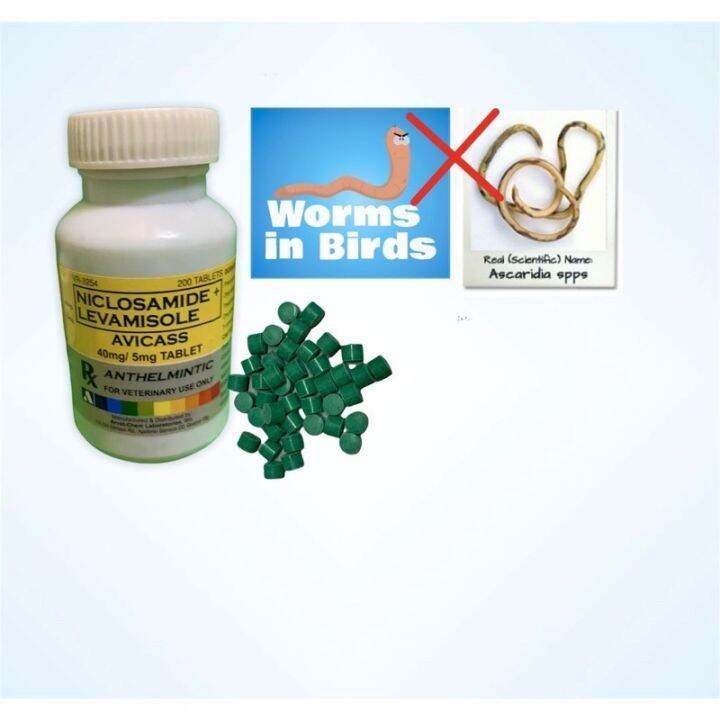 BIRD DEWORMER AVICASS 10 pcs (NICLOSAMIDE+LEVAMISOLE) | Lazada PH