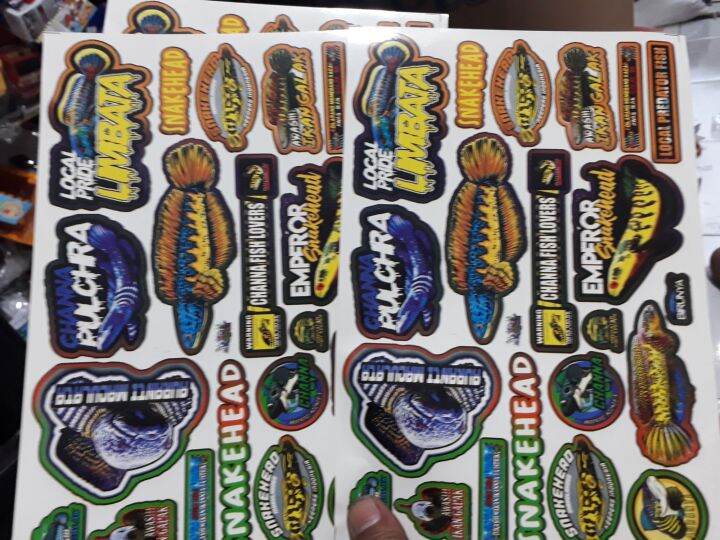 1LEMBAR STIKER IKAN CANA | Lazada Indonesia