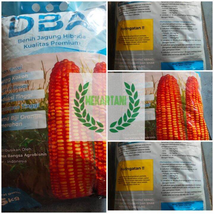benih jagung 5kg DBA varietas betras1/ benih jagung hibrida DBA kemasan 5kg | Lazada Indonesia