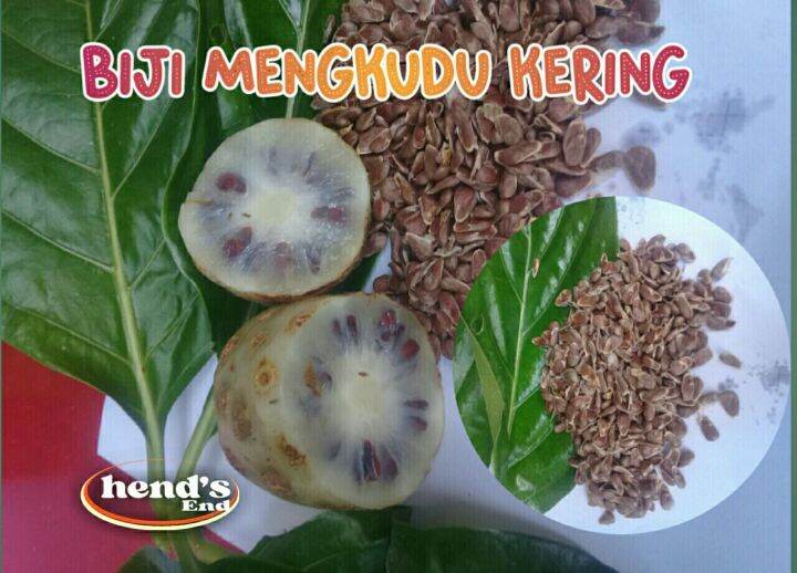 Biji Mengkudu Kering Kemasan 50 Gram Lazada Indonesia