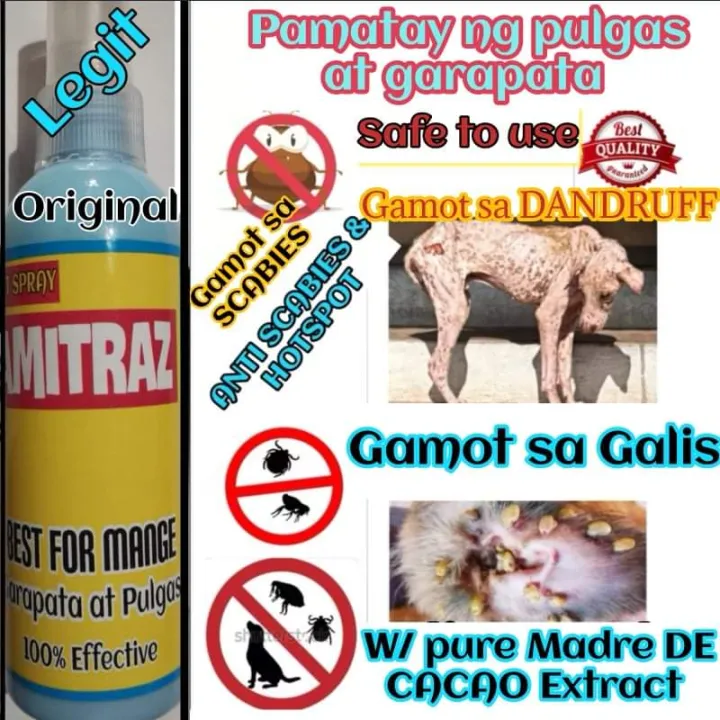 (JM )Amitraz Pet Spray 100ml Effective Cure for scabies | Lazada PH