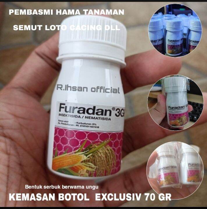 Serbuk Pembasmi Hama Semut Cacing Kaki Seribu Repack botol 70gr Furadan ...