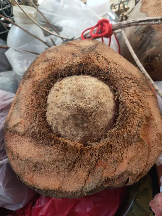 Nyog Walang Mata Original | Lazada PH