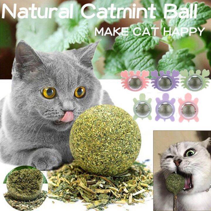 Cat Mint Ball Cat Snack Treats Toy Rotating Cat Wall Stick-on Ball Toy ...