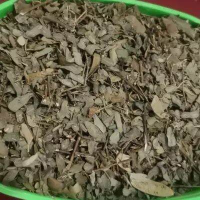 Chicken bone grass鸡骨草100g | Lazada