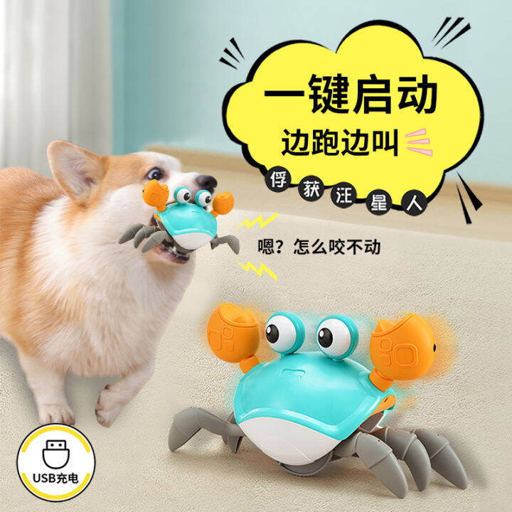 Dog Sound Toys Electric Relieving Stuffy Handy Gadget Corgi Bichon ...