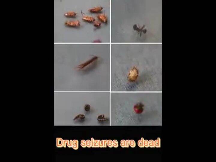 bed bug killer spray 500ML harmless to human body bedbug surot killer ...