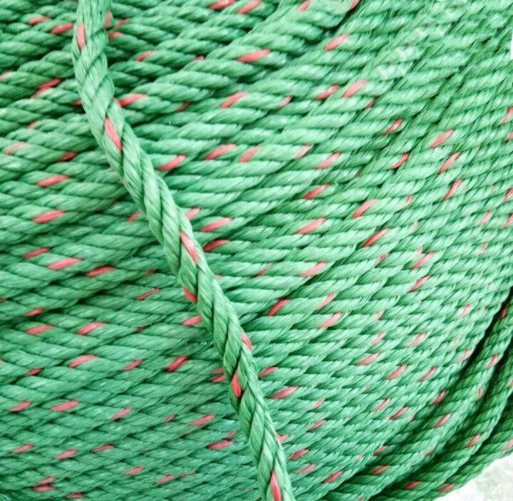 [8mm] 10 meter Green PE Rope | Tali Nylon Hijau | Lazada