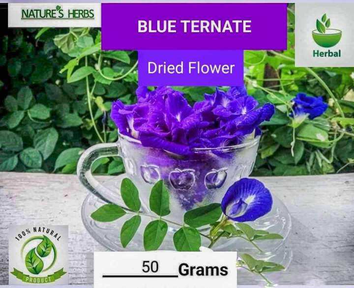 Butterfly Pea / Blue Ternate | Lazada PH