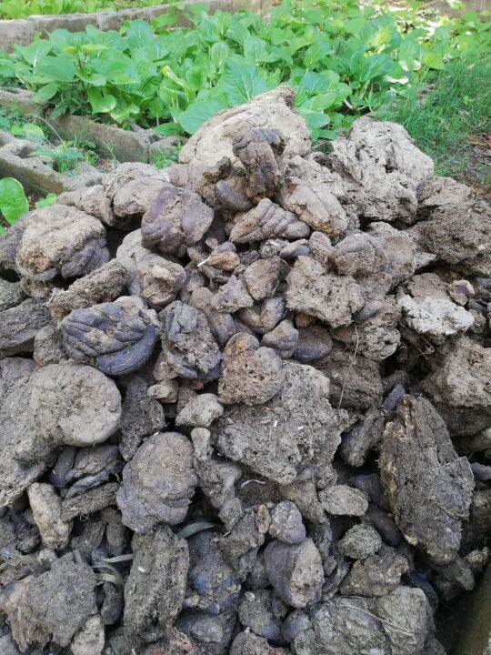 Dried Carabao/Cow Manure Organic Fertilizer 2kg | Lazada PH