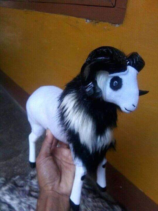 MURAH DAN BISA COD !! MINIATUR DOMBA ADU/MINIATUR DOMBA GARUT/ACECORIS ...