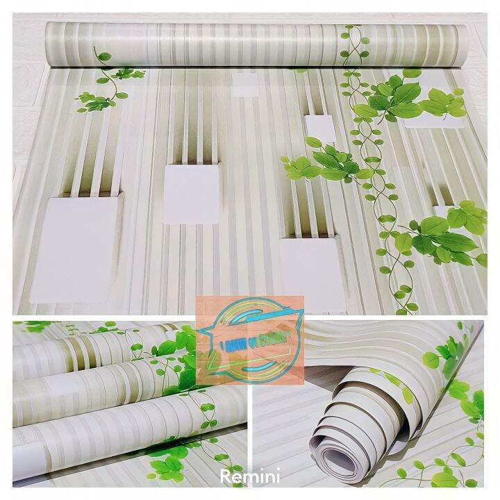 wallpaper dinding sticker dinding daun rambat 3D cocok buat ruang tamu ...
