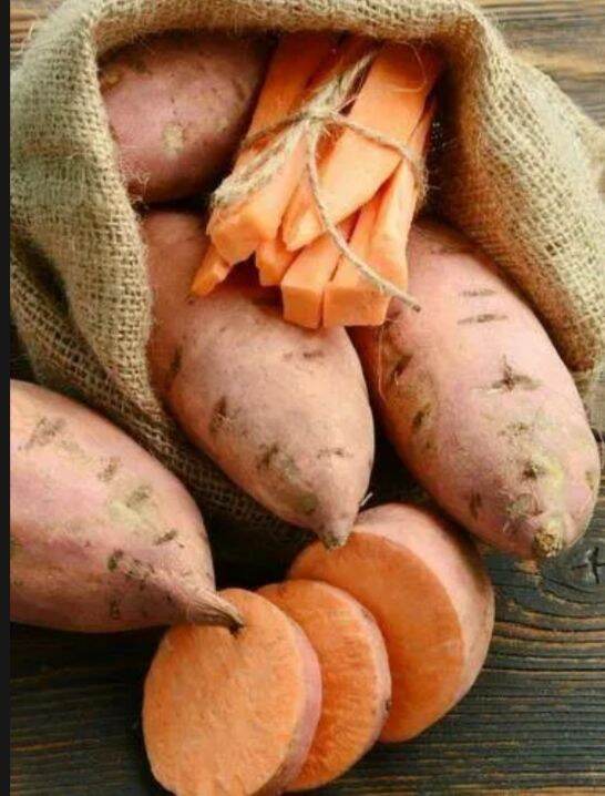 Ubi jalar merah segar 1 kg | Lazada Indonesia